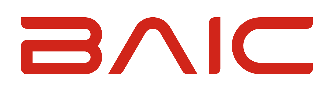 Dewa United Official Website